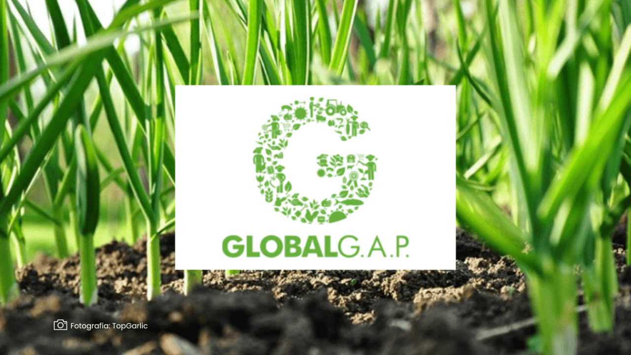 Global GAP: La certificación que impulsa la competitividad agrícola - Encuentro Agropecuario